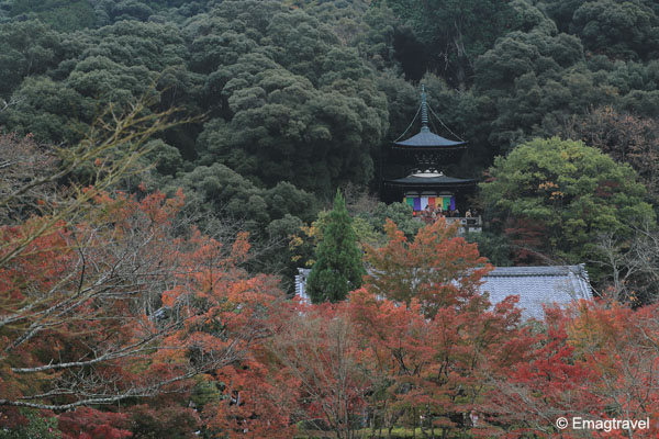 วัดเอคันโด เกียวโต Eikando Temple | EmagTravel